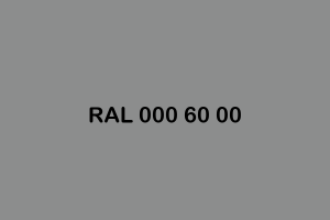 RAL 000 60 00 Ash grey - Gris ceniza (RAL Design) - micolorperfecto RAL