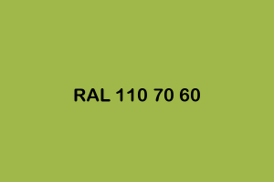 RAL 110 70 60 Lime green - Verde lima (RAL Design) - micolorperfecto RAL