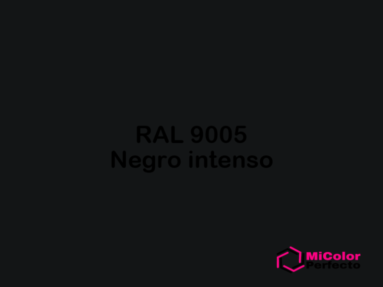 RAL 9005 Negro Intenso (Classic RAL) - micolorperfecto RAL